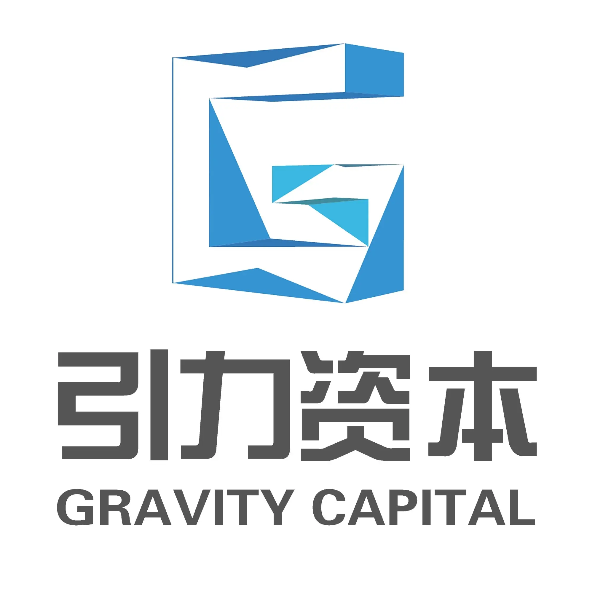 振东集团有限公司 - 企查查